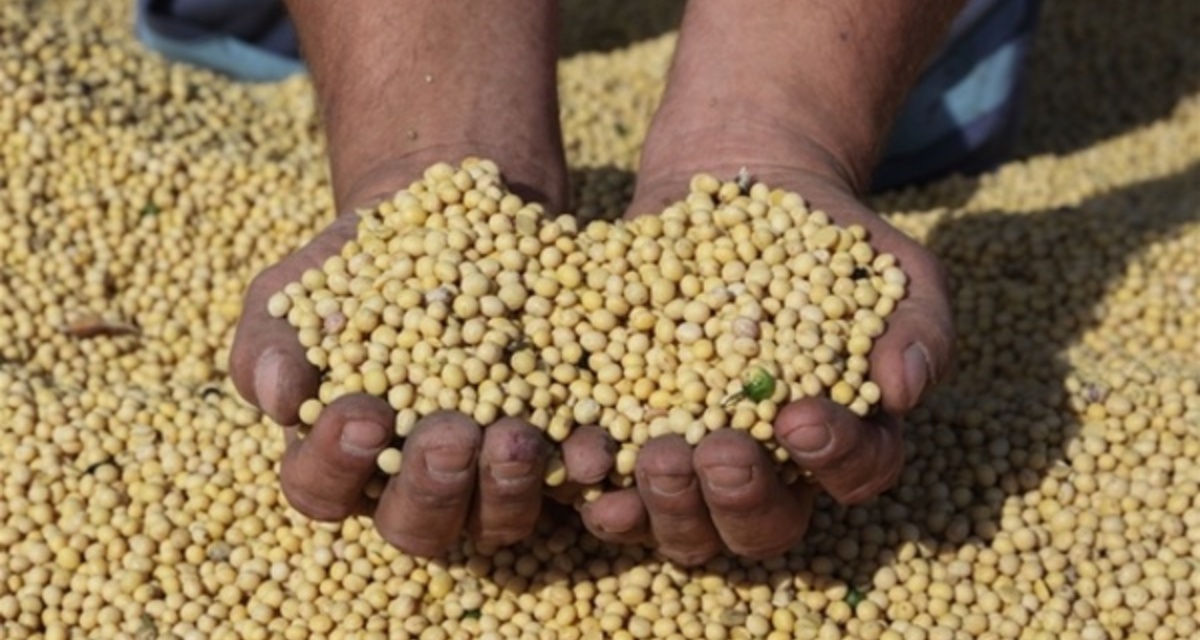 Crystal Valley is ready for all your grain drying, storage, and ...